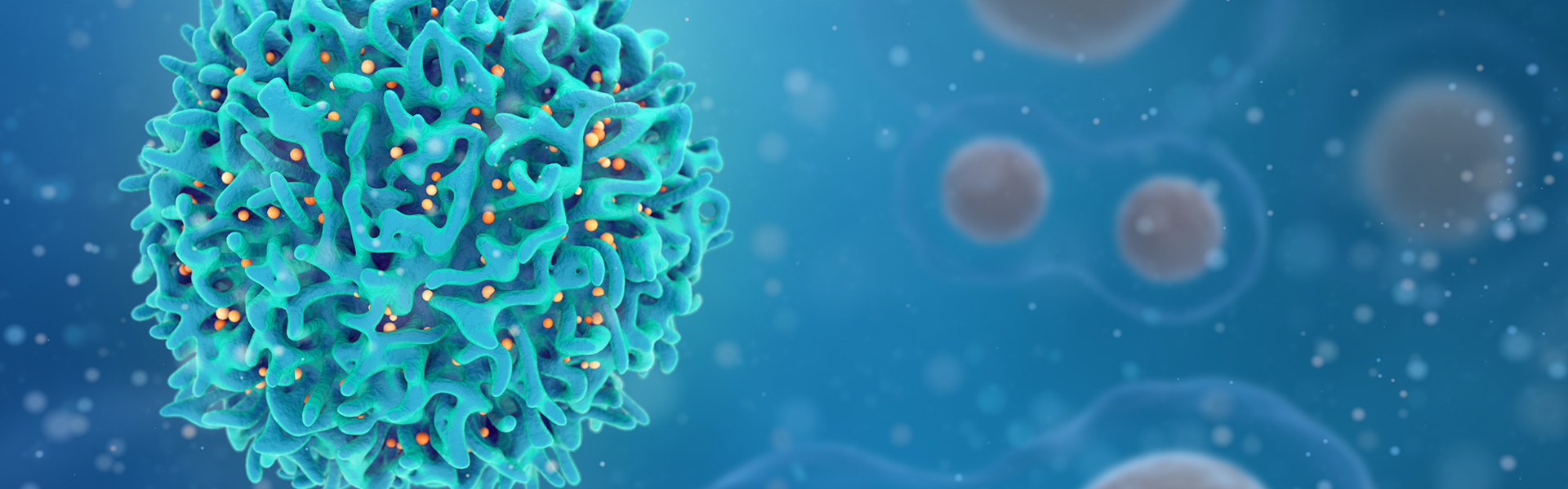 CaCo-2细胞模型法 - 成都普康生物科技有限公司